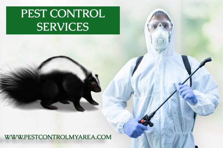 Skunk Removal Services - Pest Control For Skunk Control USA